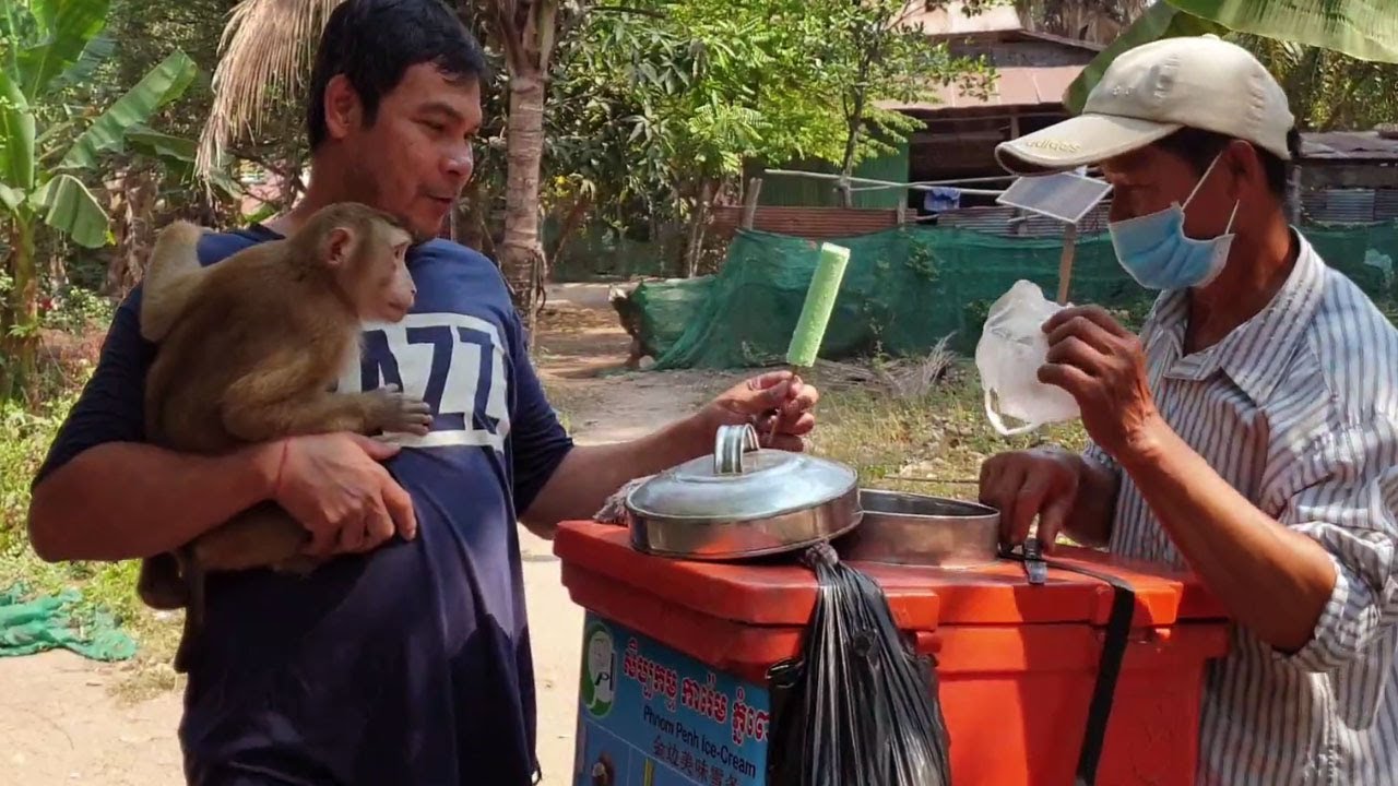 Aha Koko very smart asking Daddy to buy Ice-cream /Koko&Yoko official ...