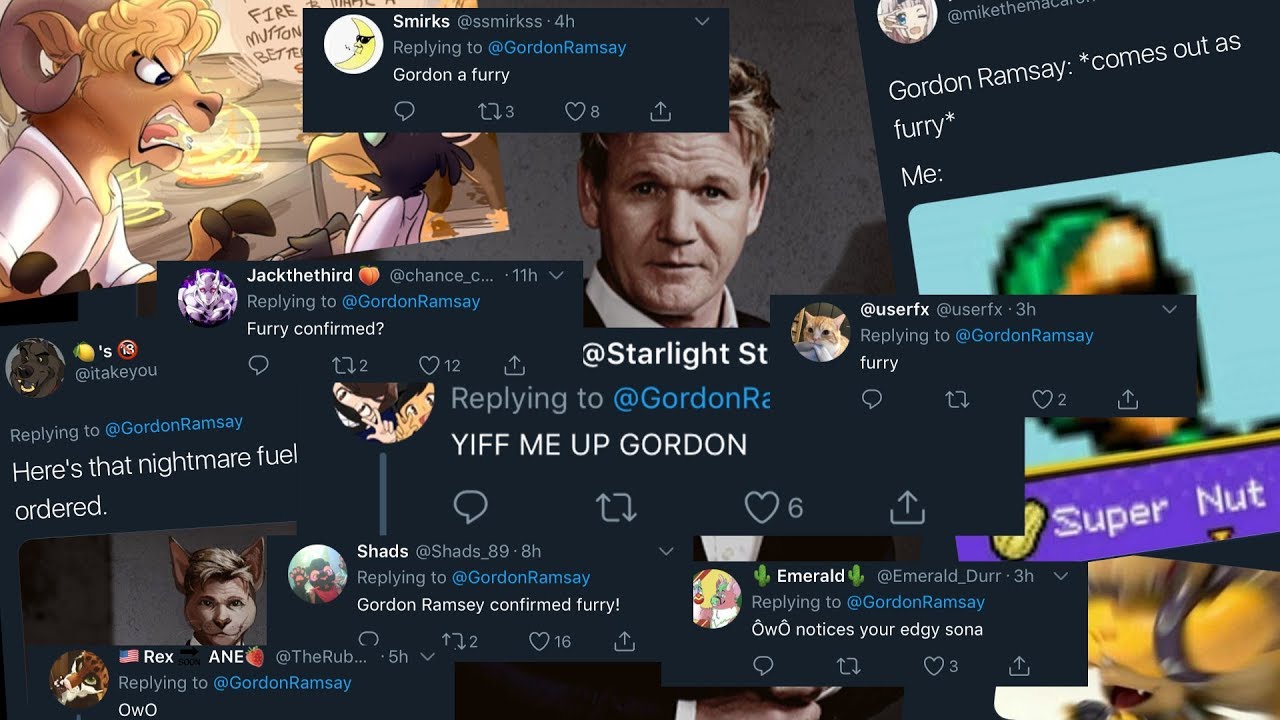 GORDON RAMSAY: CONFIRMED FURRY - YouTube