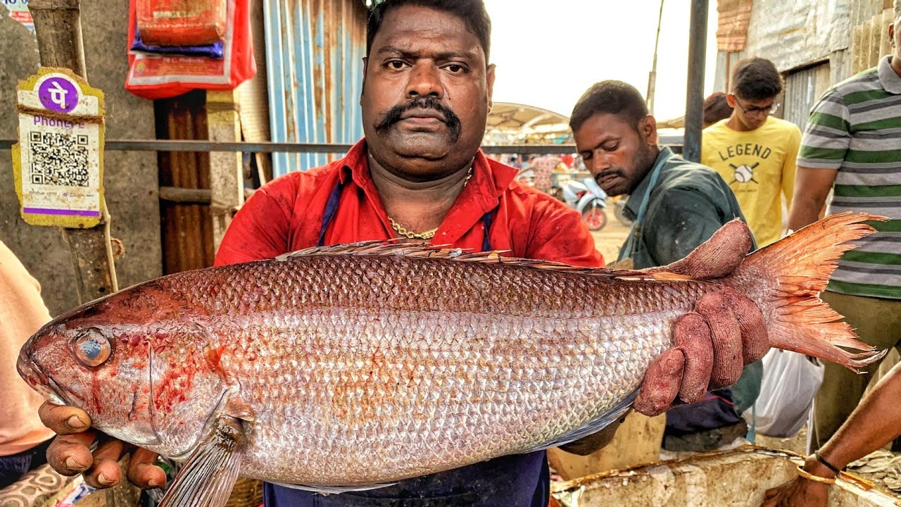 KASIMEDU 🔥 SPEED SELVAM | BIG SIZE KANDAL FISH CUTTING VIDEO | 4K VIDEO ...