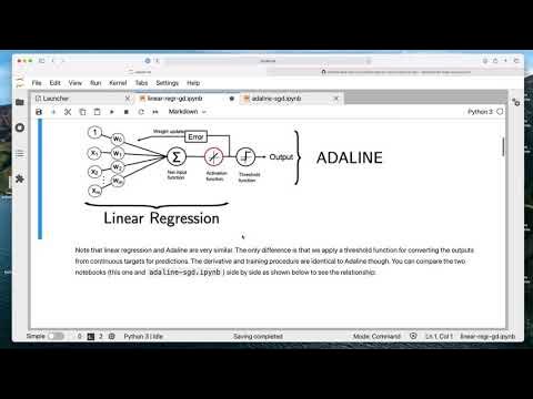 L5.8 Adaline Code Example - YouTube