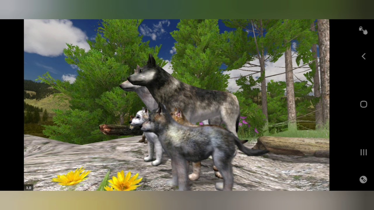 Wolfquest gameplay - YouTube