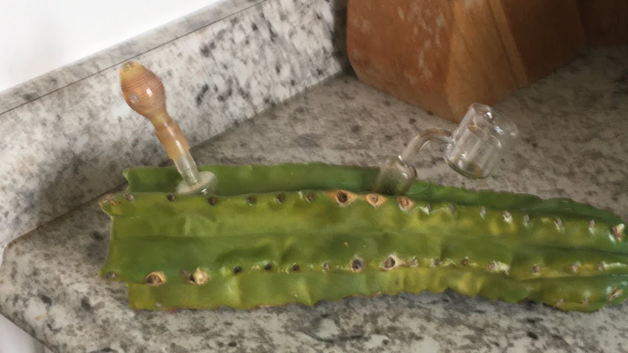 Cactus used as a Dab Rig!! (Can I Dab Bong It?!?!? - YouTube