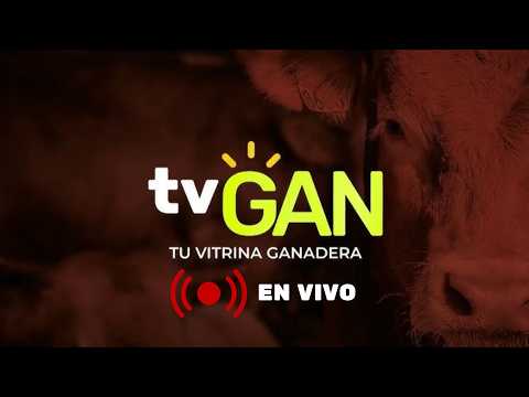 TU VITRINA GANADERA EN VIVO 07/07/2026