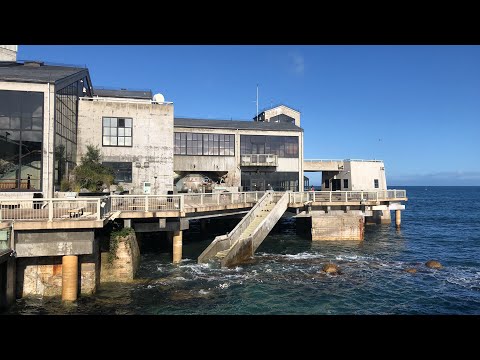 King Tides are today! Biggest tides of the year! | Live From The ...