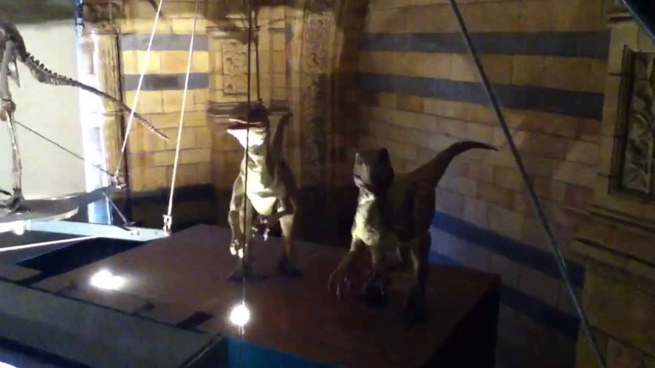 Real baby dinosaurs - YouTube