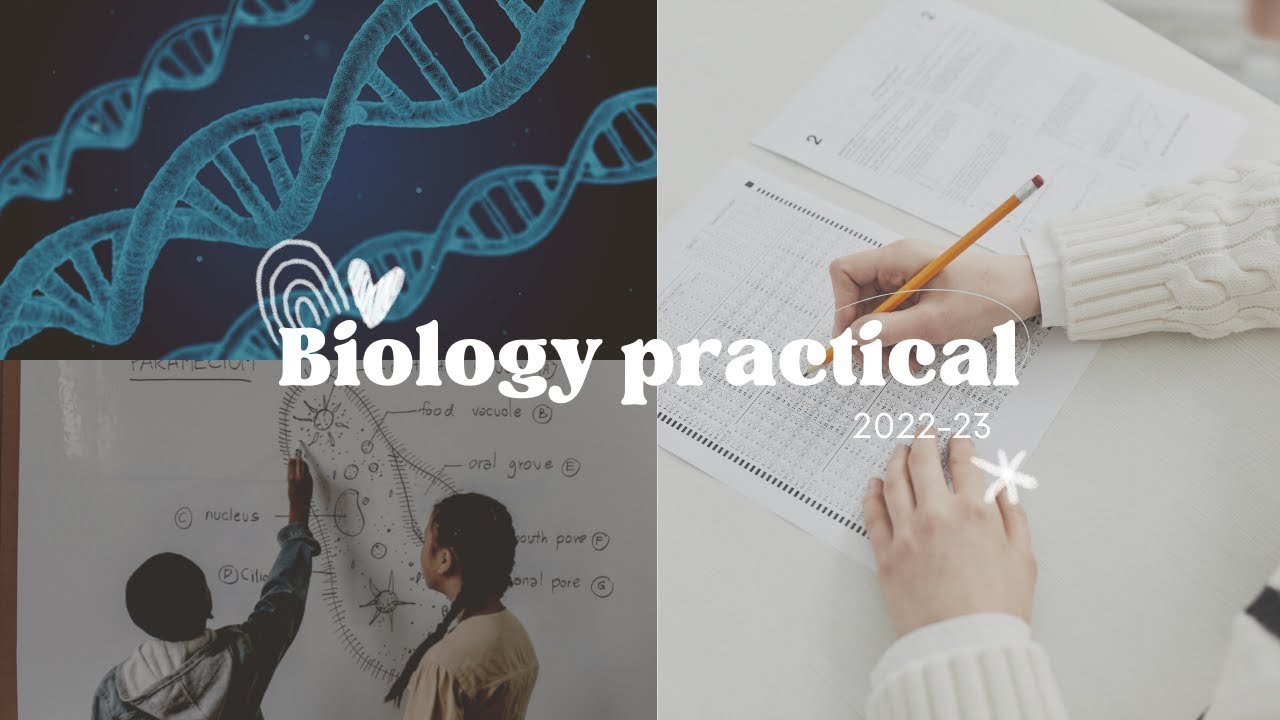 BIOLOGY PRACTICAL EXAM| CBSE | 2023 | VIVA| PRACTICAL QUESTIONS - YouTube