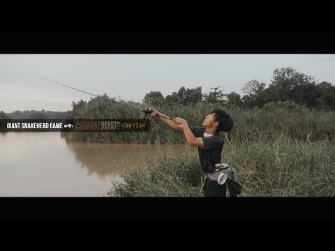 Giant Snakehead Game with the BONE Combat Beast CBB731H - YouTube