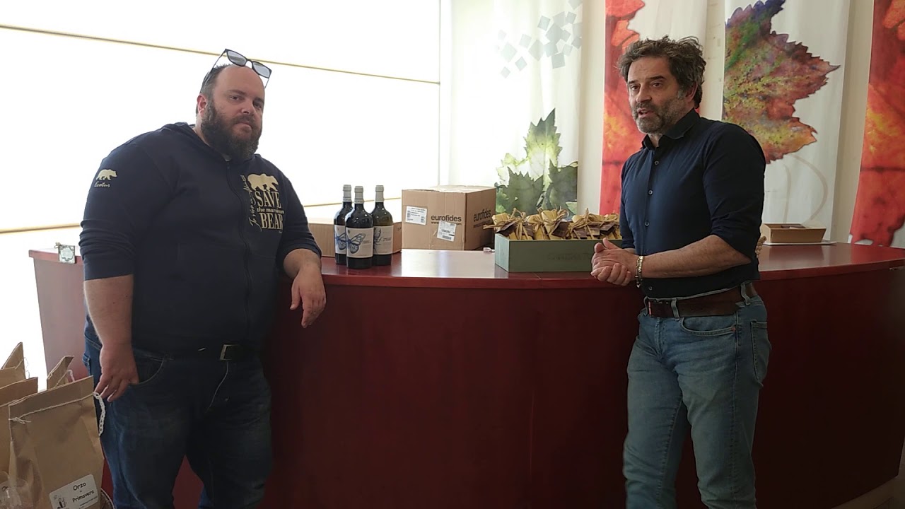 Vincenzo Menna sull'ospedale di Atessa - YouTube