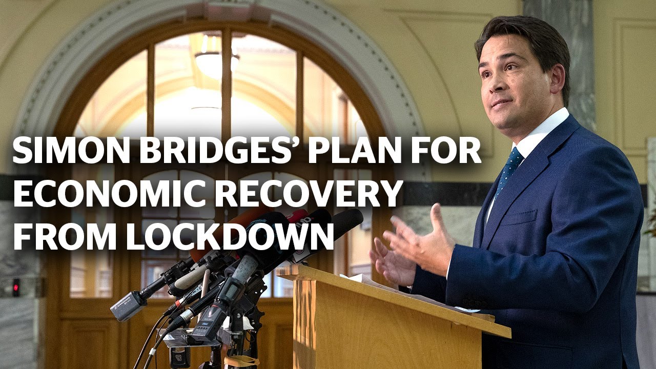 Simon Bridges sets out plan for economic recovery from lockdown ...