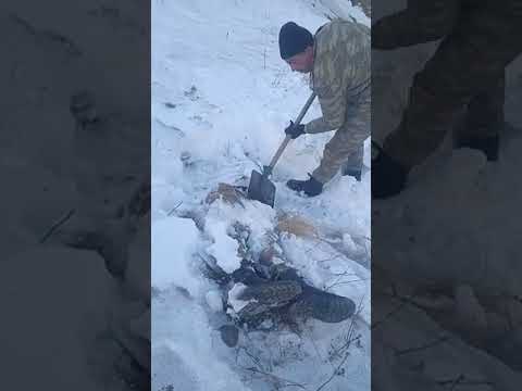 Daşkəsən Şəhidimiz Haxverdiyev Novruzun Aylar Sonra Tapılan Nəşi💔😢