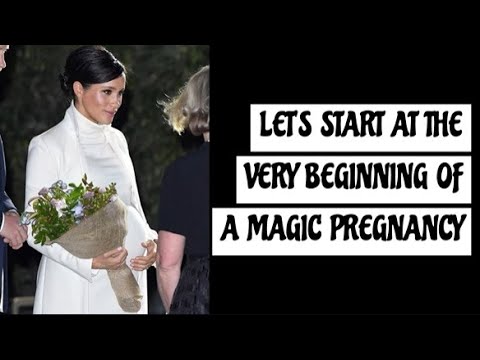 Let's start at the very beginning of a magic pregnancy.. - YouTube