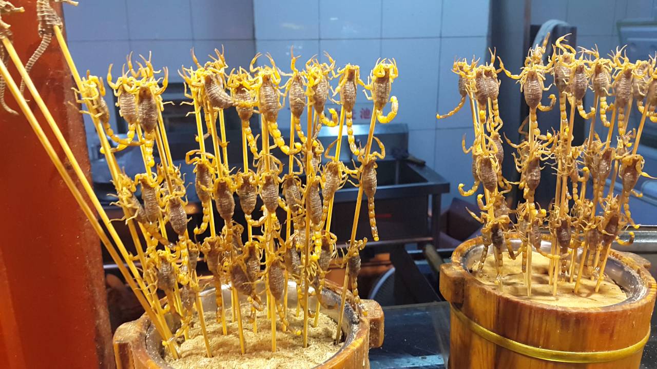 Beijing street food - Scorpio (4K) - YouTube