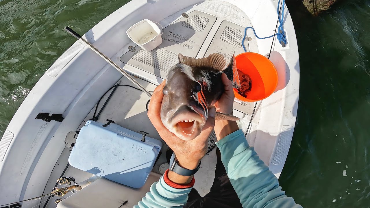 Mastering Tautog Fishing with Snafu Rigs : Tips & Tricks for Success ...