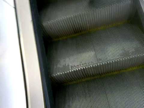 Main Beales in worthing escalators and OTIS GEN2 lift worthing