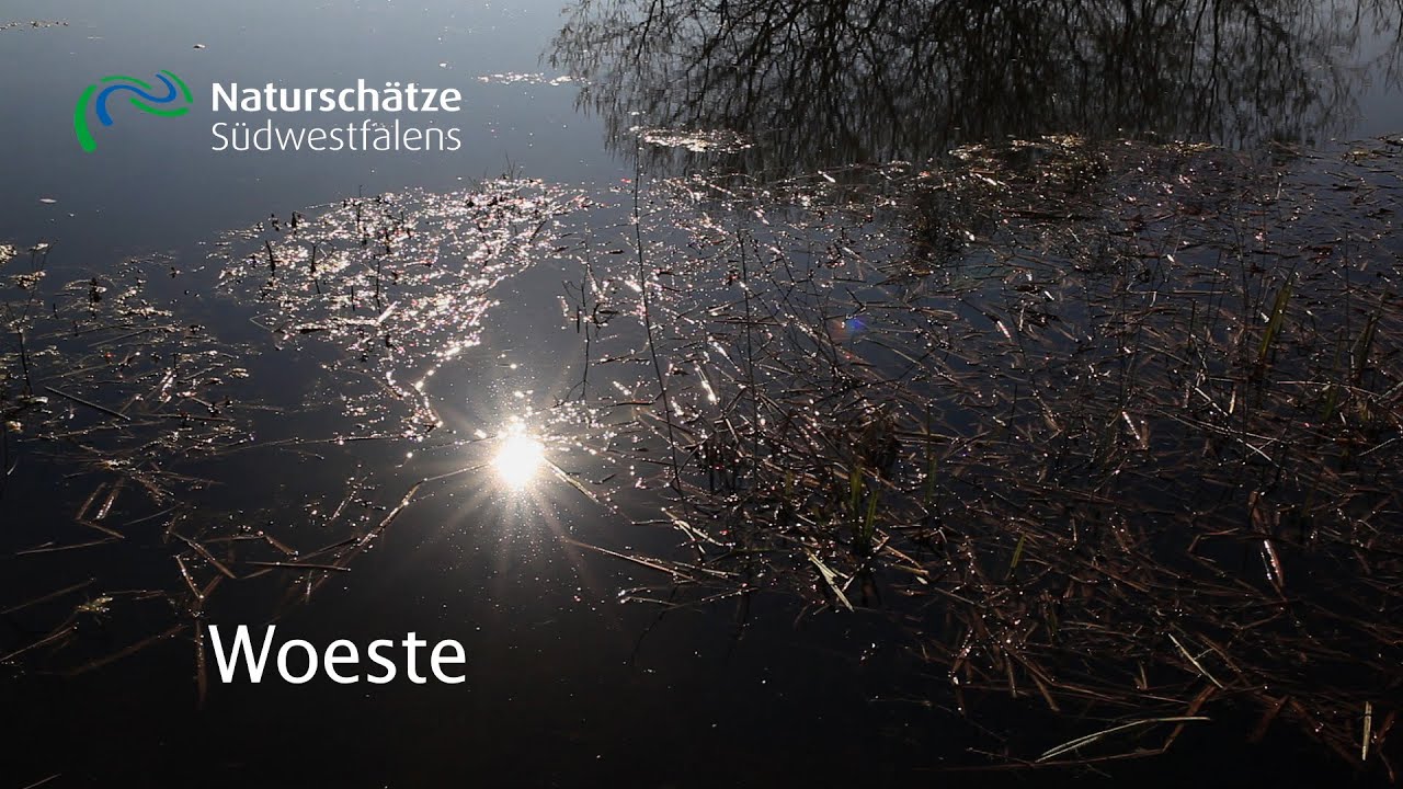 Woeste - Naturschätze Südwestfalens - YouTube