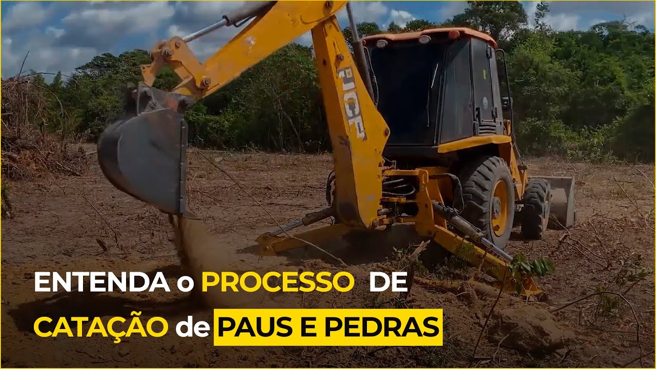 MÃO NA MASSA: Como fazemos a catação de paus e pedras na Fazenda Boate ...