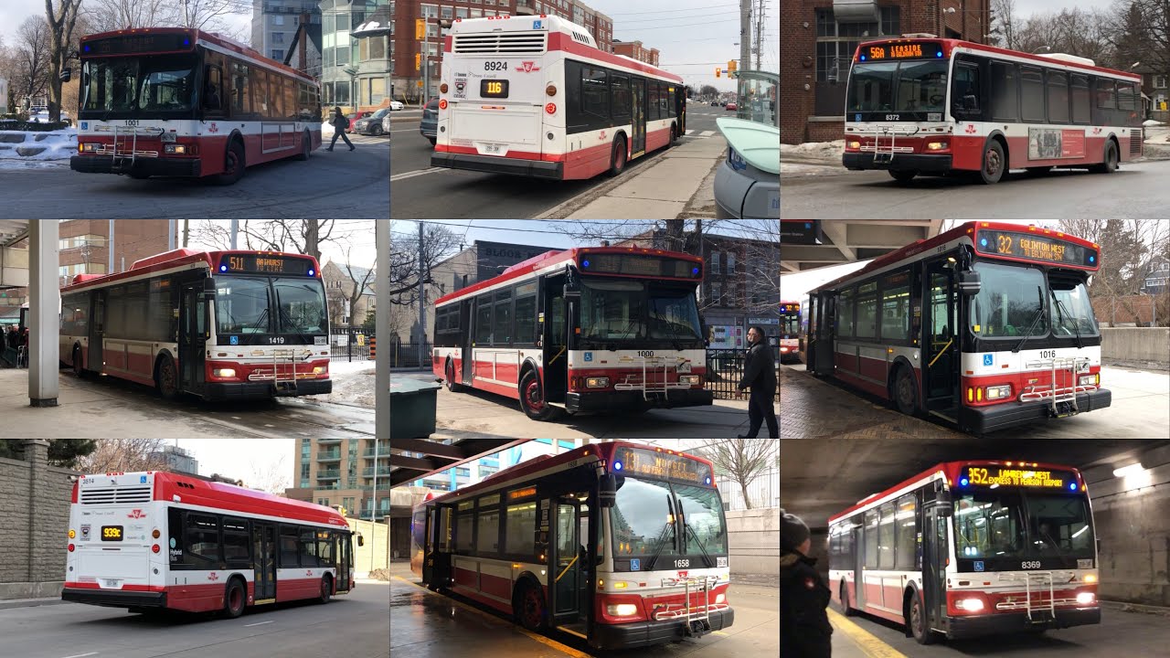 TTC Bus 115 - YouTube