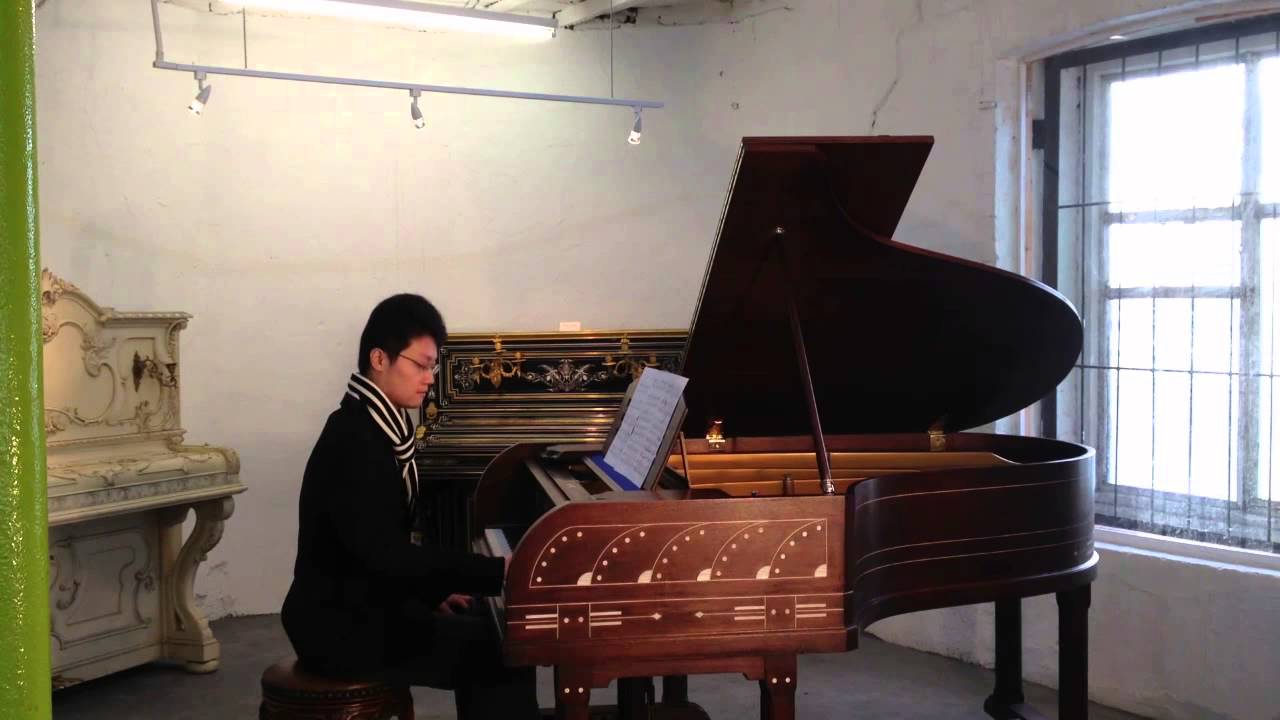 Nocturne in C sharp minor on a Richard Lipp grand piano at Besbrode ...