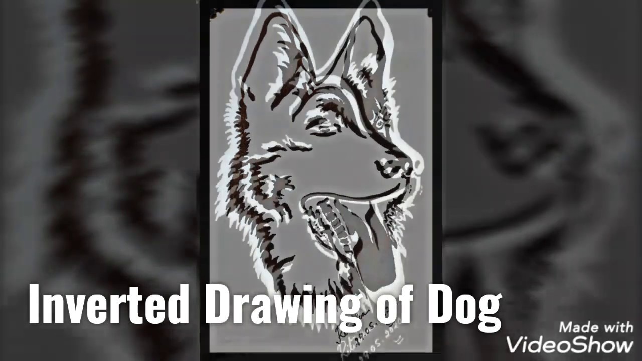 Making video of Inverted Dog || Inverted Drawing || Using CD marker ...