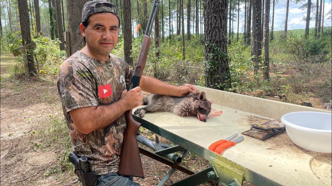 Captura y cocina de mapache - YouTube