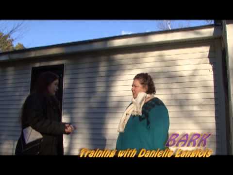 Bark TV Show Episode1 - YouTube