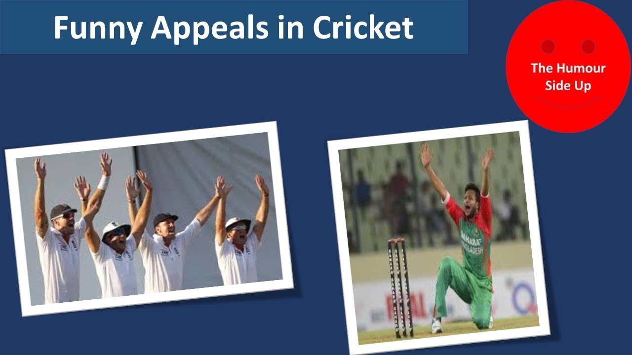Most Funny Appeal|Funny Incidents| Umpires| - YouTube