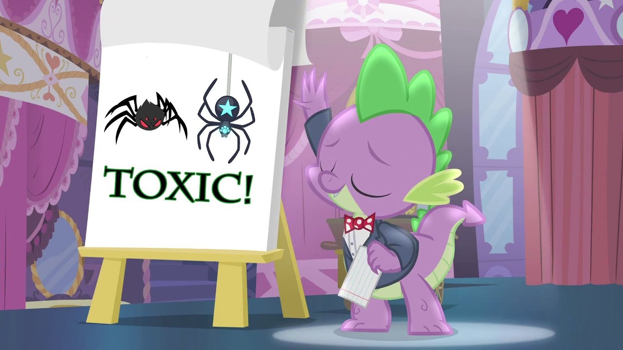 Spider Show - YouTube