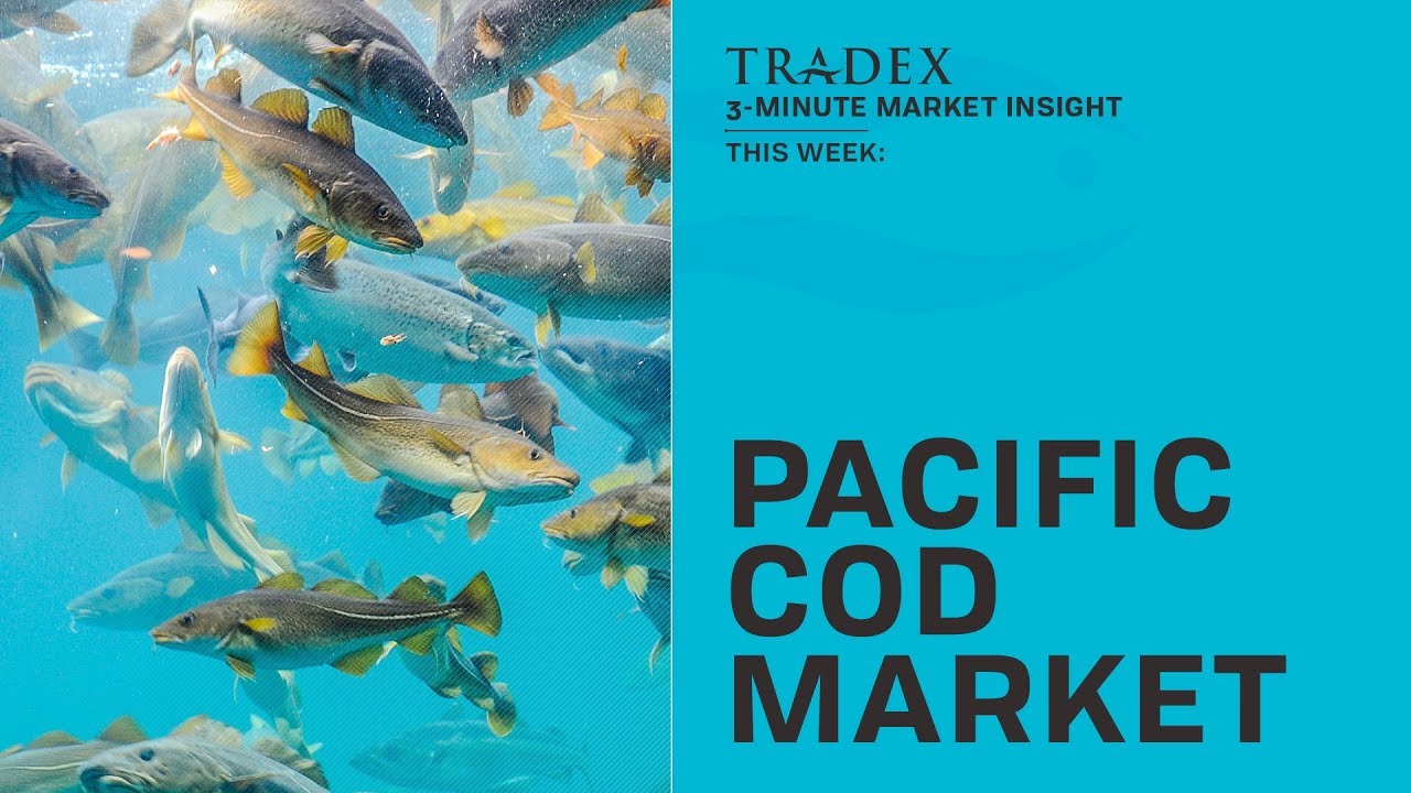 3MMI - Cod Shortages, Poor Fishing, Possible China Production Shortages ...