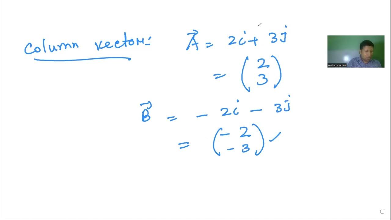 IGCSE | Maths D | Vector | Basics #mathematics - YouTube