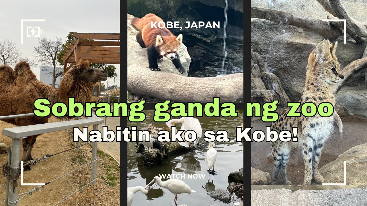 Kobe, Japan (Part 4): Best Zoo Experience at Kobe Animal Kingdom ...