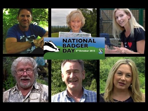 NATIONAL BADGER DAY TRAILER - Save the Badgers! - YouTube