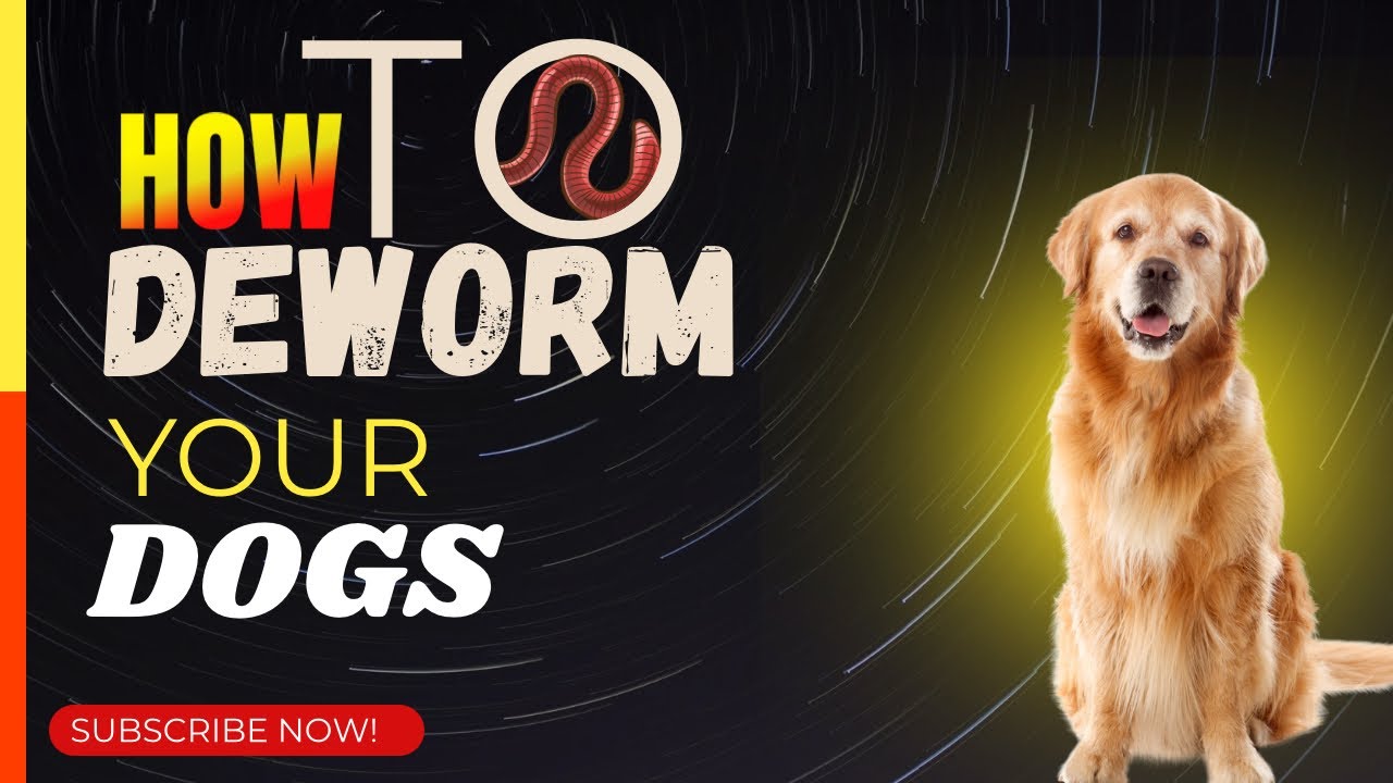 ಮನೆಯಲ್ಲೇ ಹೇಗೆ ನಾಯಿಗೆ Deworming ಮಾಡೋದು | HOW TO DEWORM DOG AT HOME ...