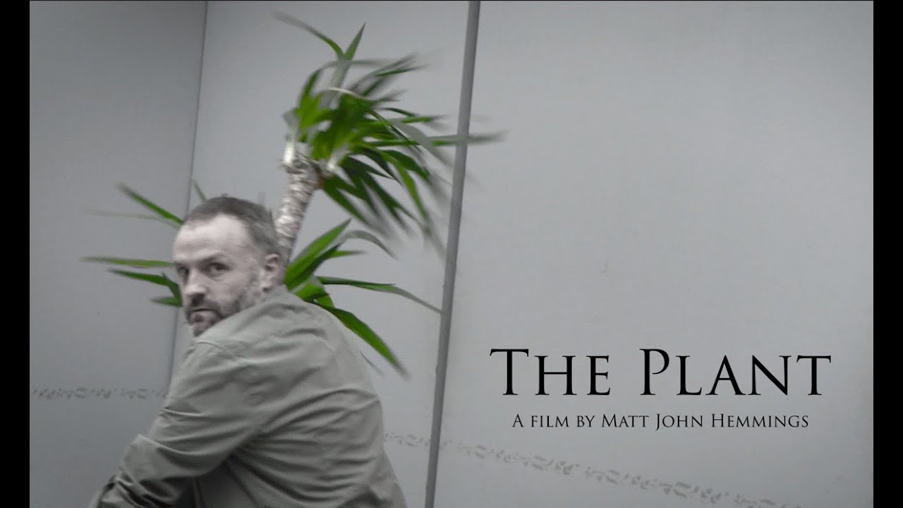 THE PLANT - YouTube