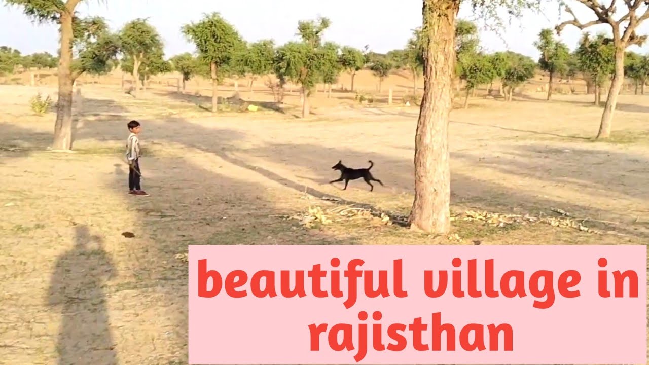 desert village life in rajisthan | beautiful village | #desert # ...