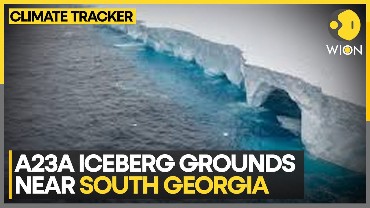 A23A Iceberg's Journey From Antarctica To South Georgia | WION Climate ...
