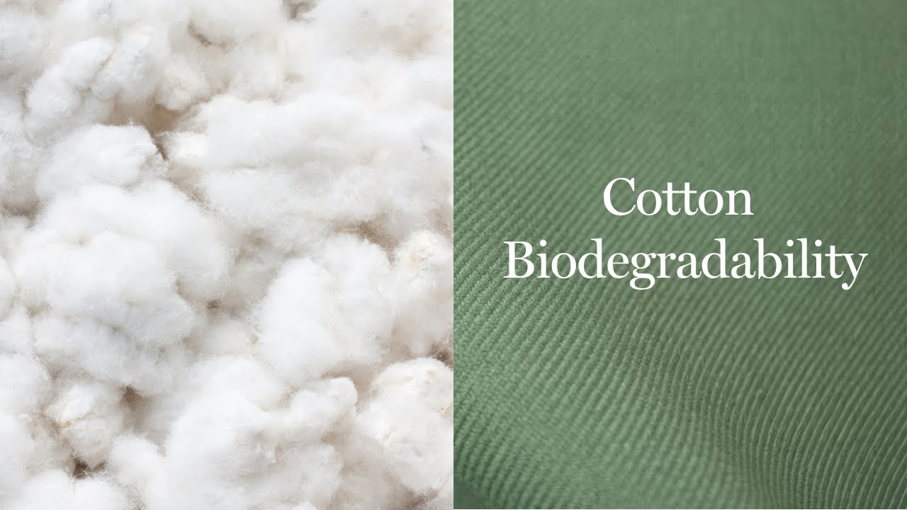 Cotton Biodegradability - YouTube
