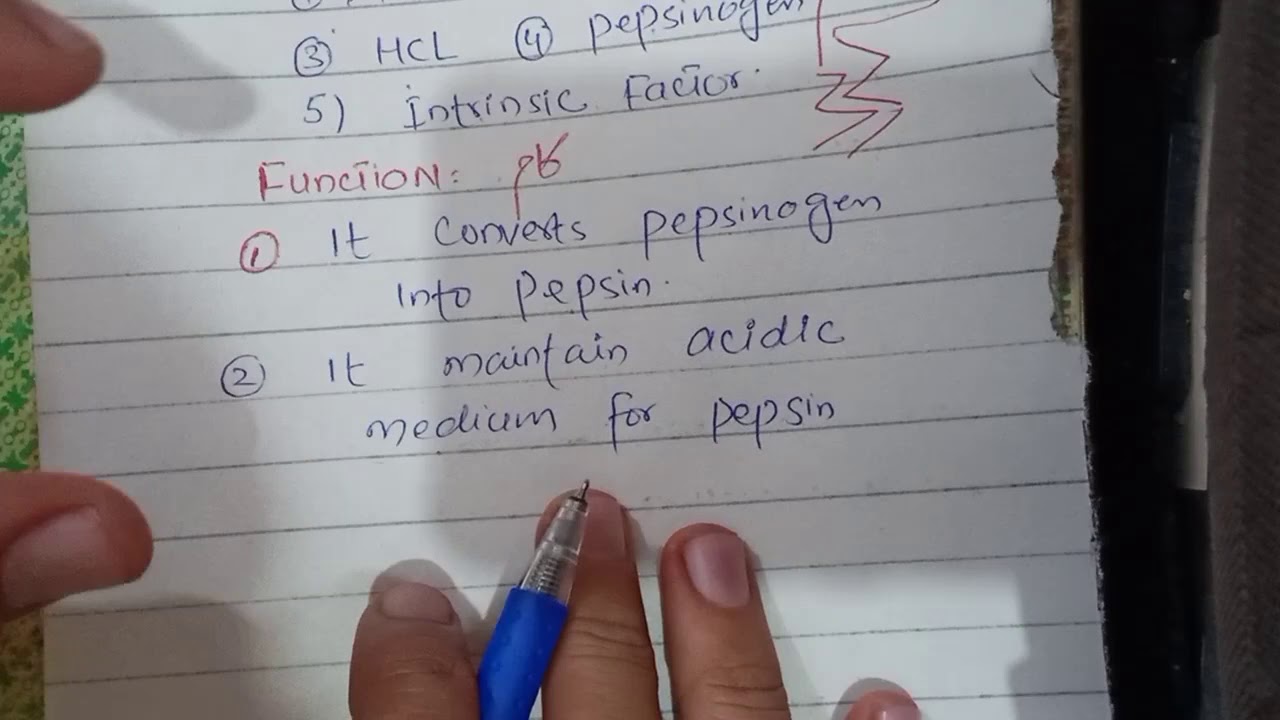 Gastric Juice It s Composition And Functions gastric-juice-it-s-composition-and-functions