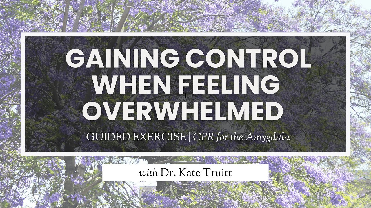 A Guided Exercise for Gaining Control When Feeling Overwhelmed with Dr ...