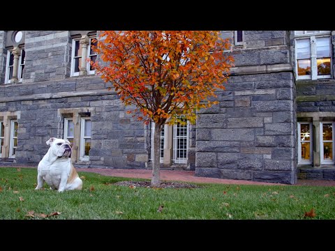 Fall at Georgetown University - YouTube