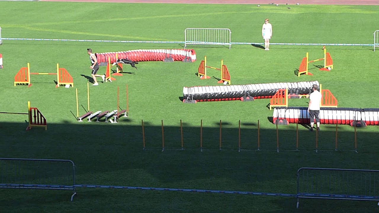 Jouni & Neela jumping Eläköönkoirat 2015 - YouTube