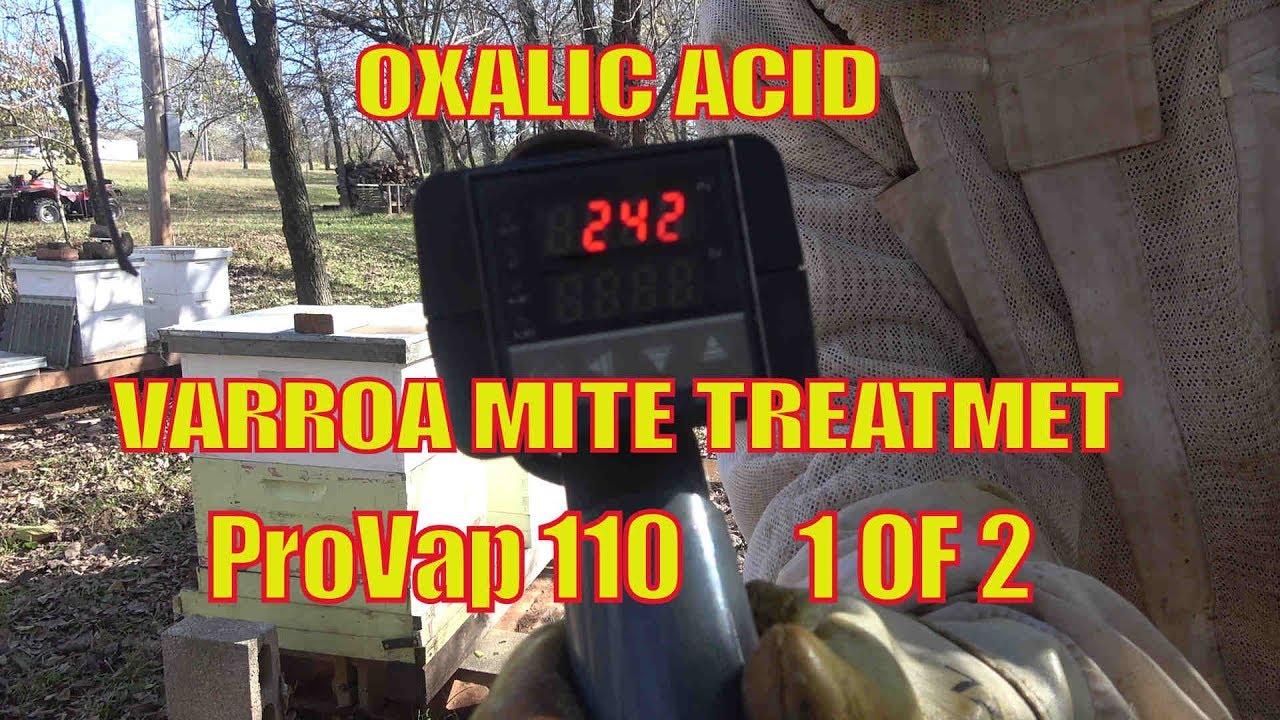 Beekeeping: Varroa Mite Treatment with ProVap 110 Vaporizer Part 1 of 2 ...