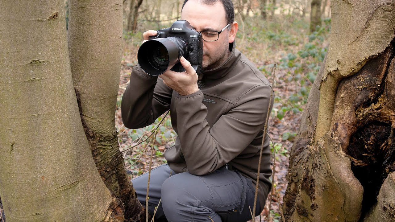How to Photograph Woodlands - Patterns, Textures and Reflections in ...