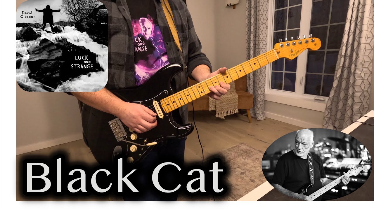 David Gilmour - Black Cat (Guitar Cover and Gear Settings) - YouTube