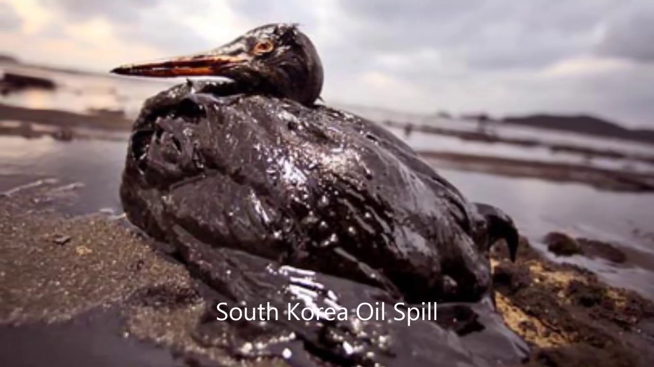 Un Mundo destruido video trizte - YouTube