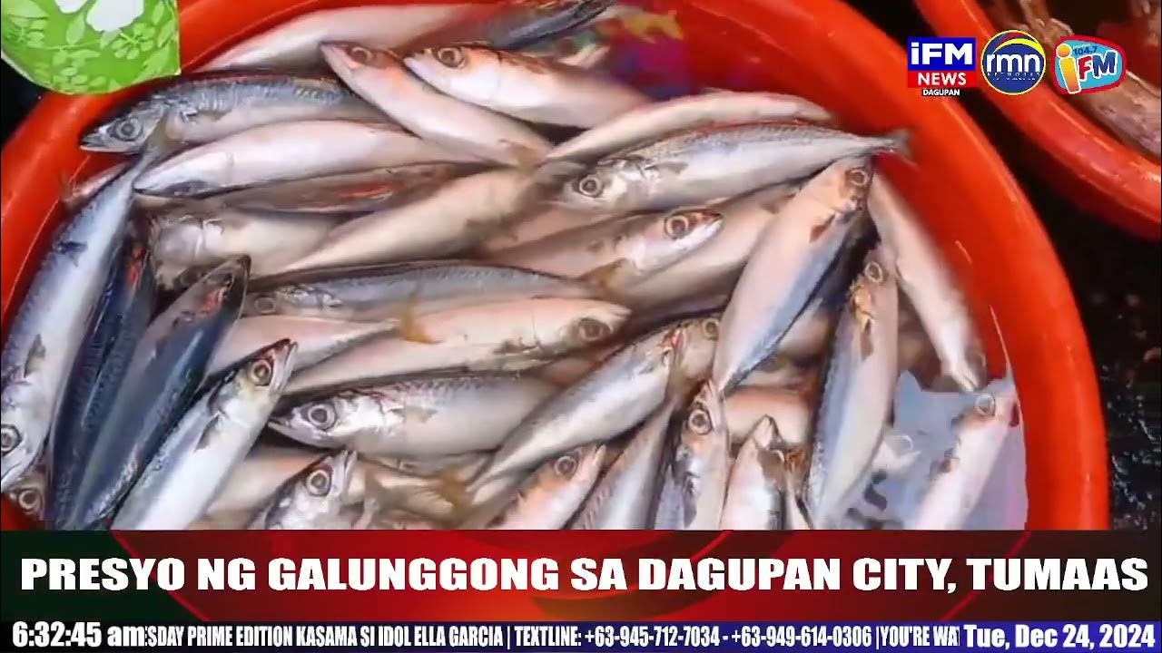 PRESYO NG GALUNGGONG SA DAGUPAN CITY, TUMAAS - YouTube