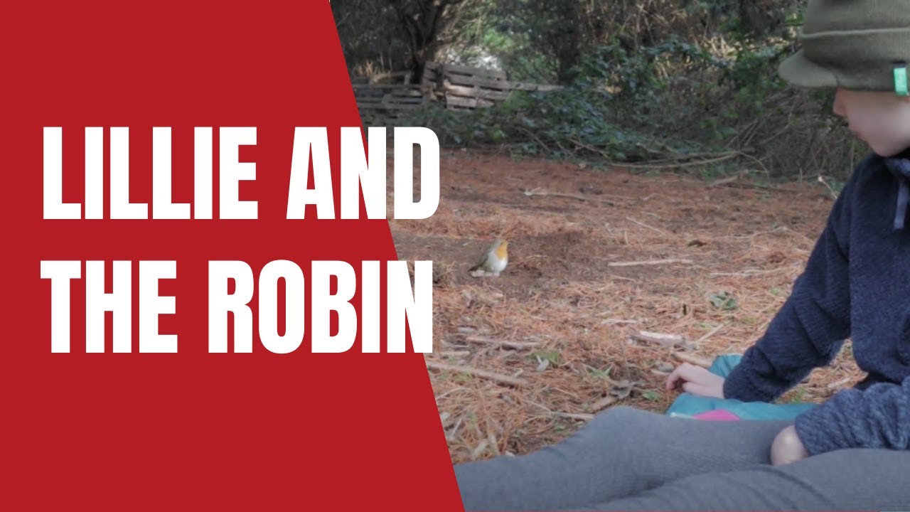 Lillie and the Robin - YouTube