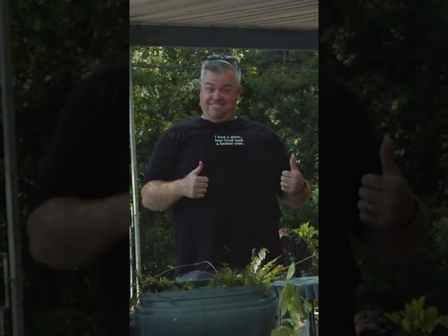 Busted Cribs | Transforming Busted Houses Into Beautiful Homes