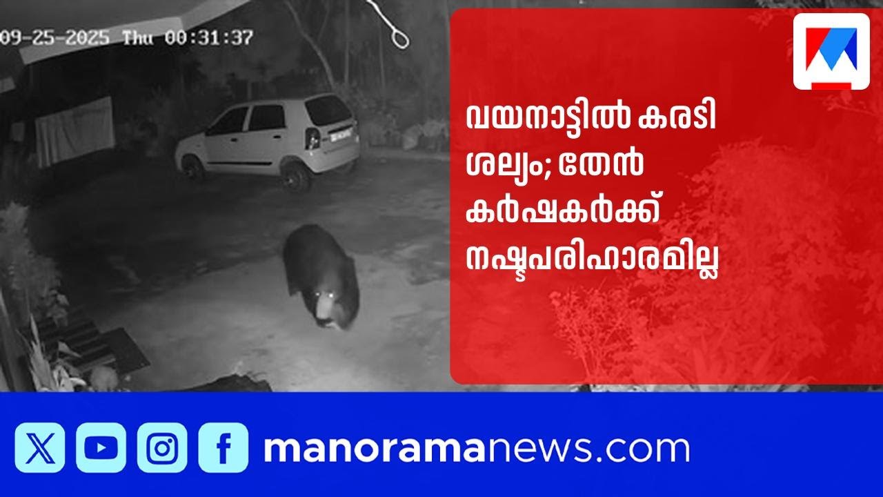 വയനാട്ടിൽ കരടി ഭീതി; തേൻ കർഷകർക്ക് നഷ്ടപരിഹാരം നിഷേധിച്ച് വനംവകുപ്പ് ...