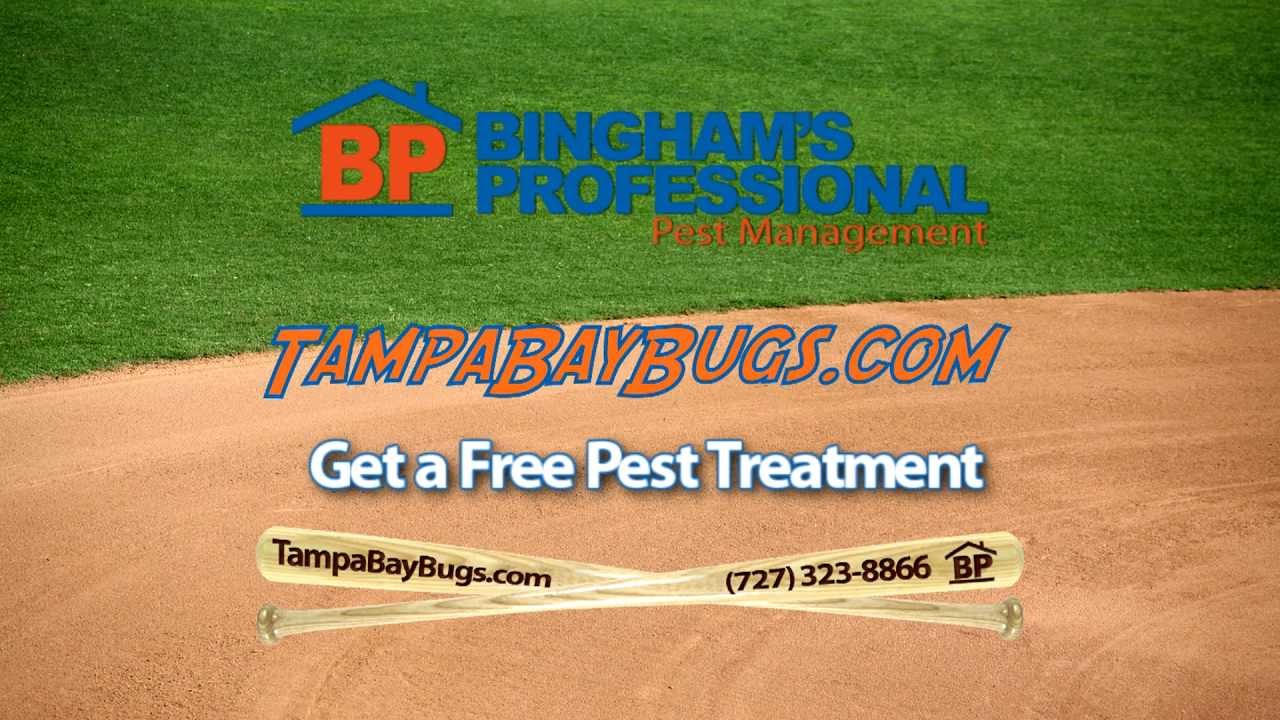 Bingham's Professional Pest Management - HD TV May 2012 - "Take BP on ...