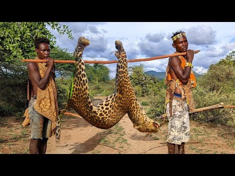 Hunters Of Hadzabe Tribe | Catching and Eating Wild Cat - YouTube